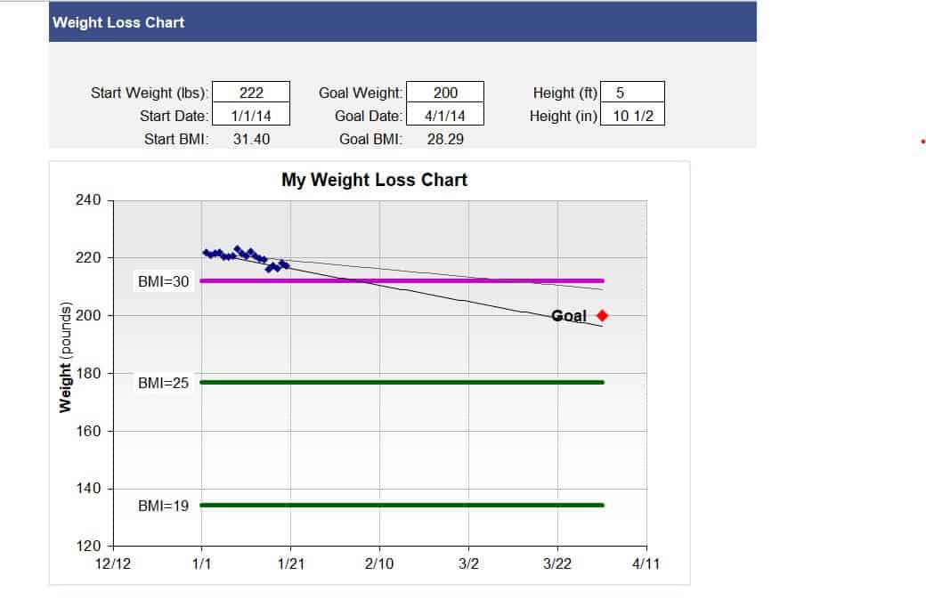 11+ Useful Weight Loss Chart Templates [in Excel & Word] - Word Excel ...